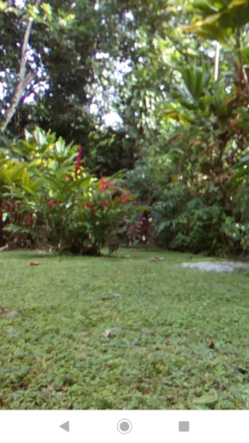 Panatrap – Open Source 360 Camera Traps – Digital Naturalism Laboratories