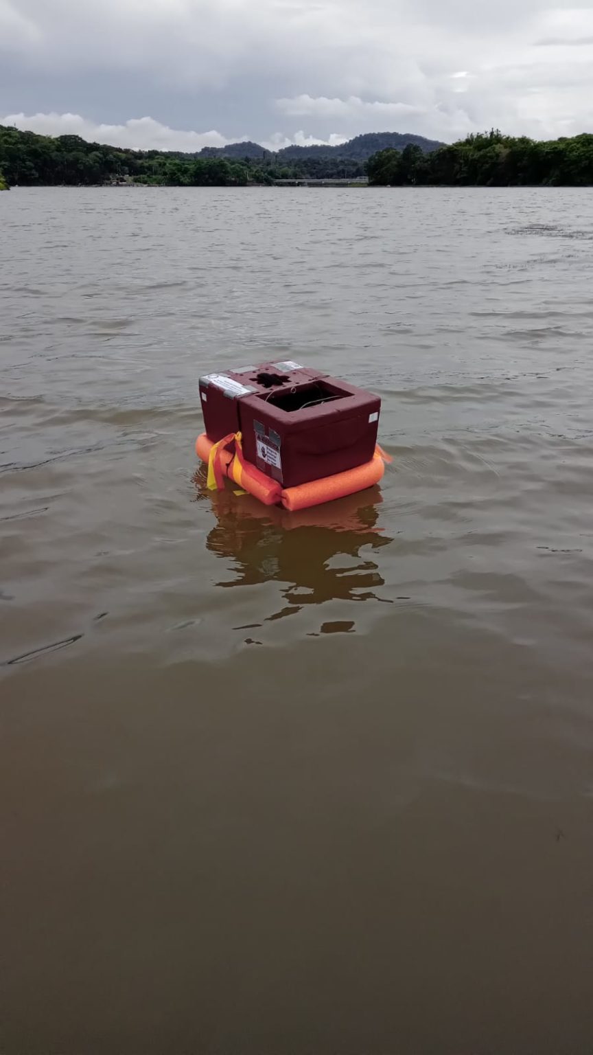 Floating Bat Camera Traps – Jenna Kohles – Digital Naturalism Laboratories