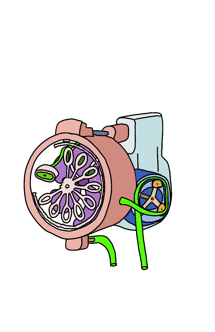 BubblePunk – Digital Naturalism Laboratories