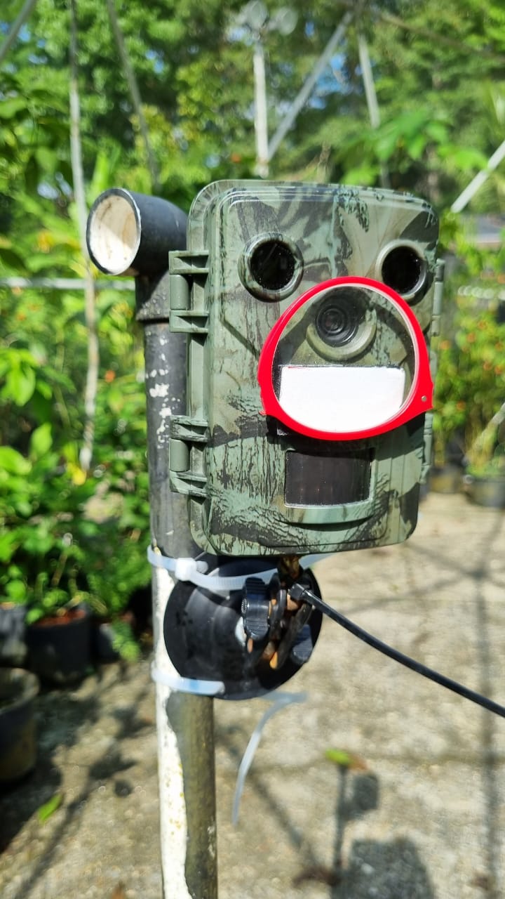 Near-Sighted Camera Traps – Denise Dell’Aglio – Digital Naturalism ...